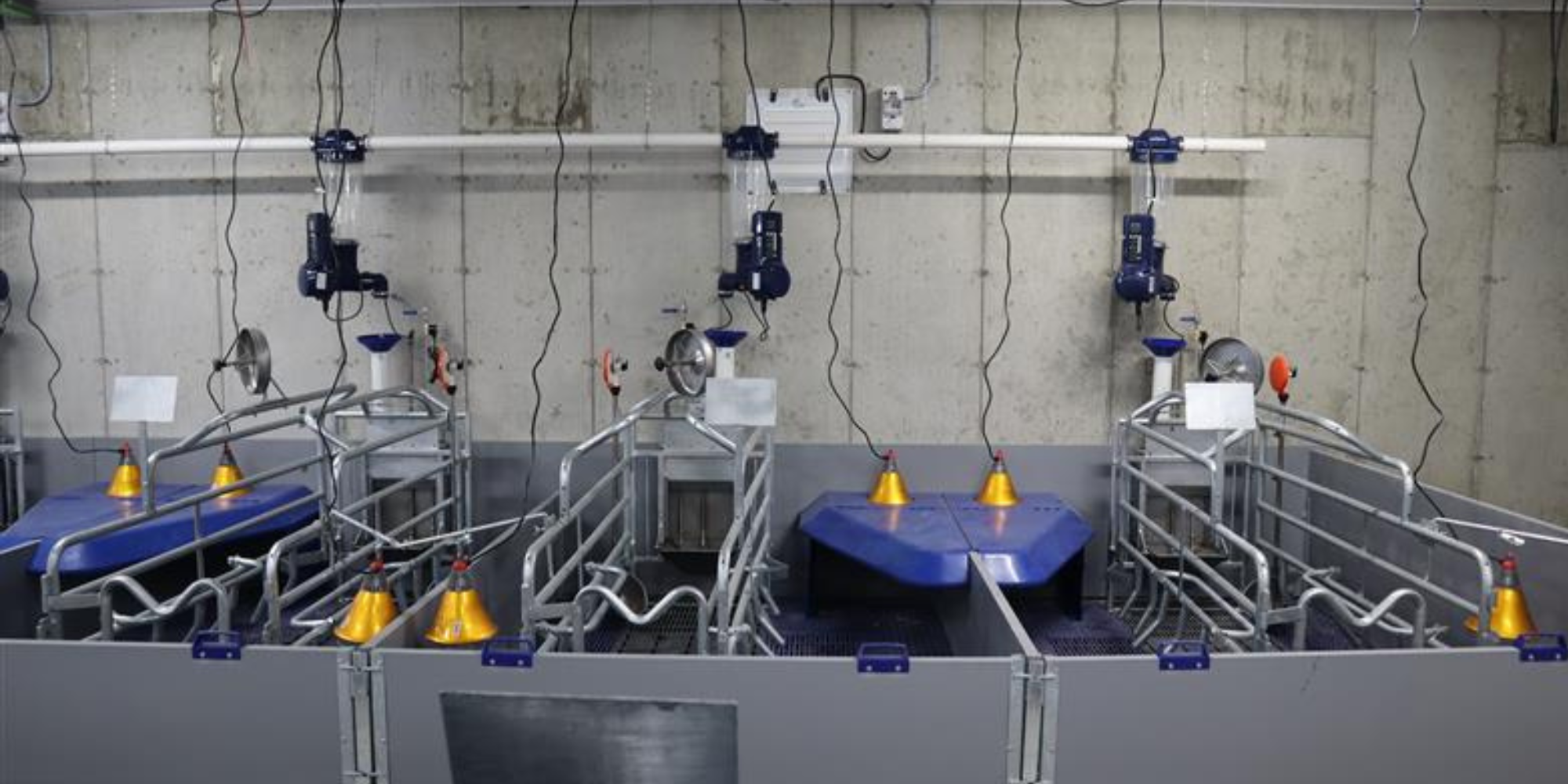 GESTAL Smart Feeding System — Jyga Technologies
